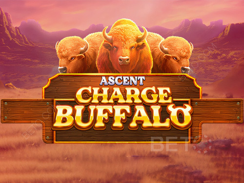 Charge Buffalo-ASCENT Spillemaskine » Spil for Sjov Anmeldelse